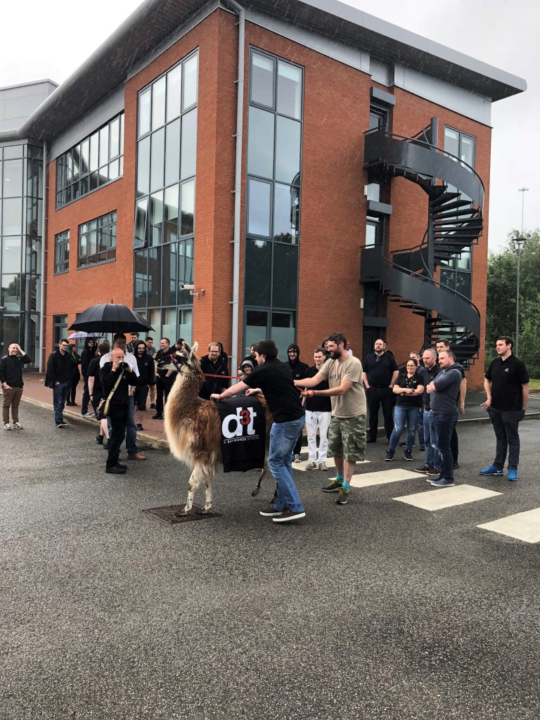 d3t Llama - d3t